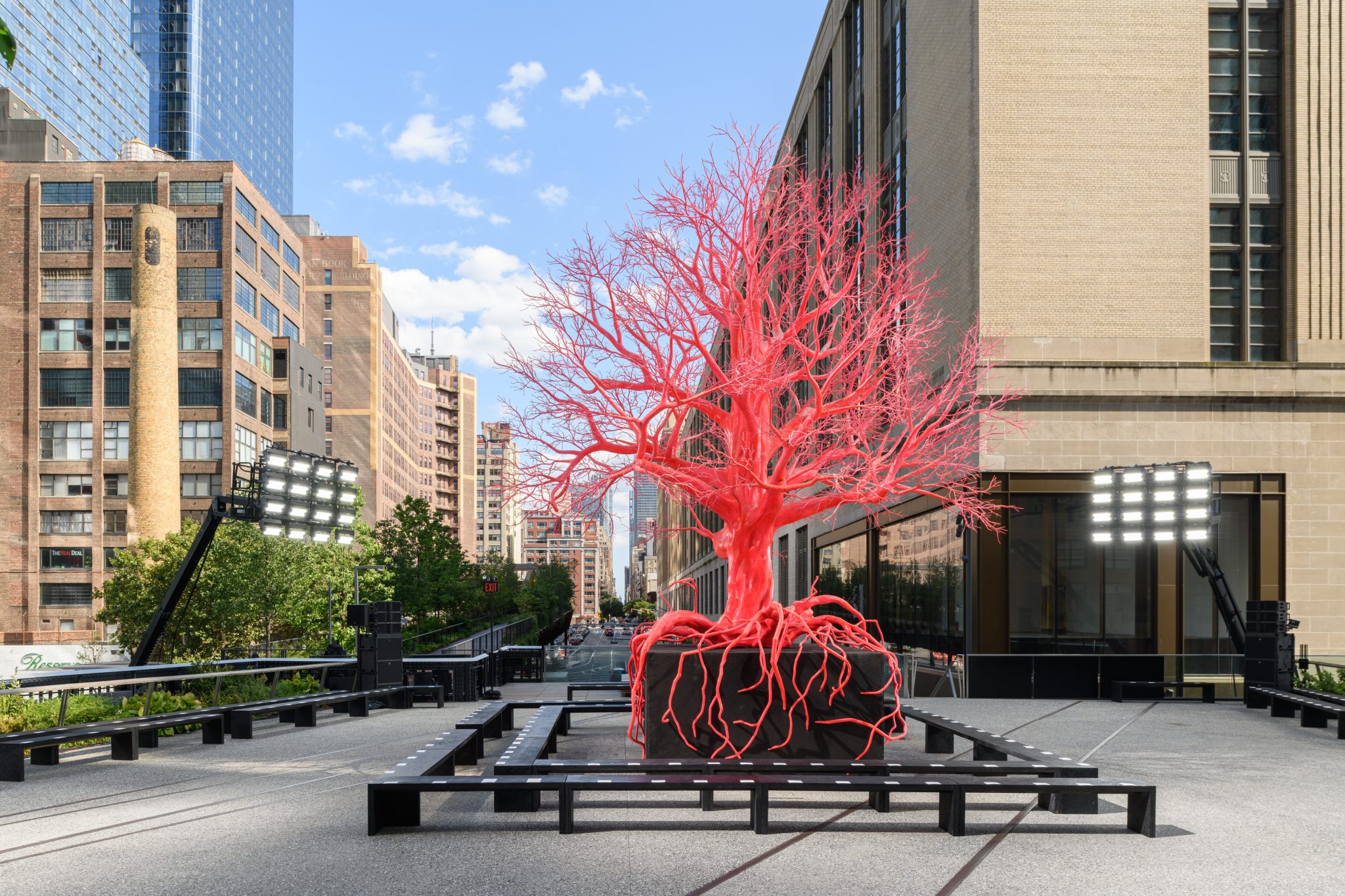 COACH | SS25 - Renegade Design